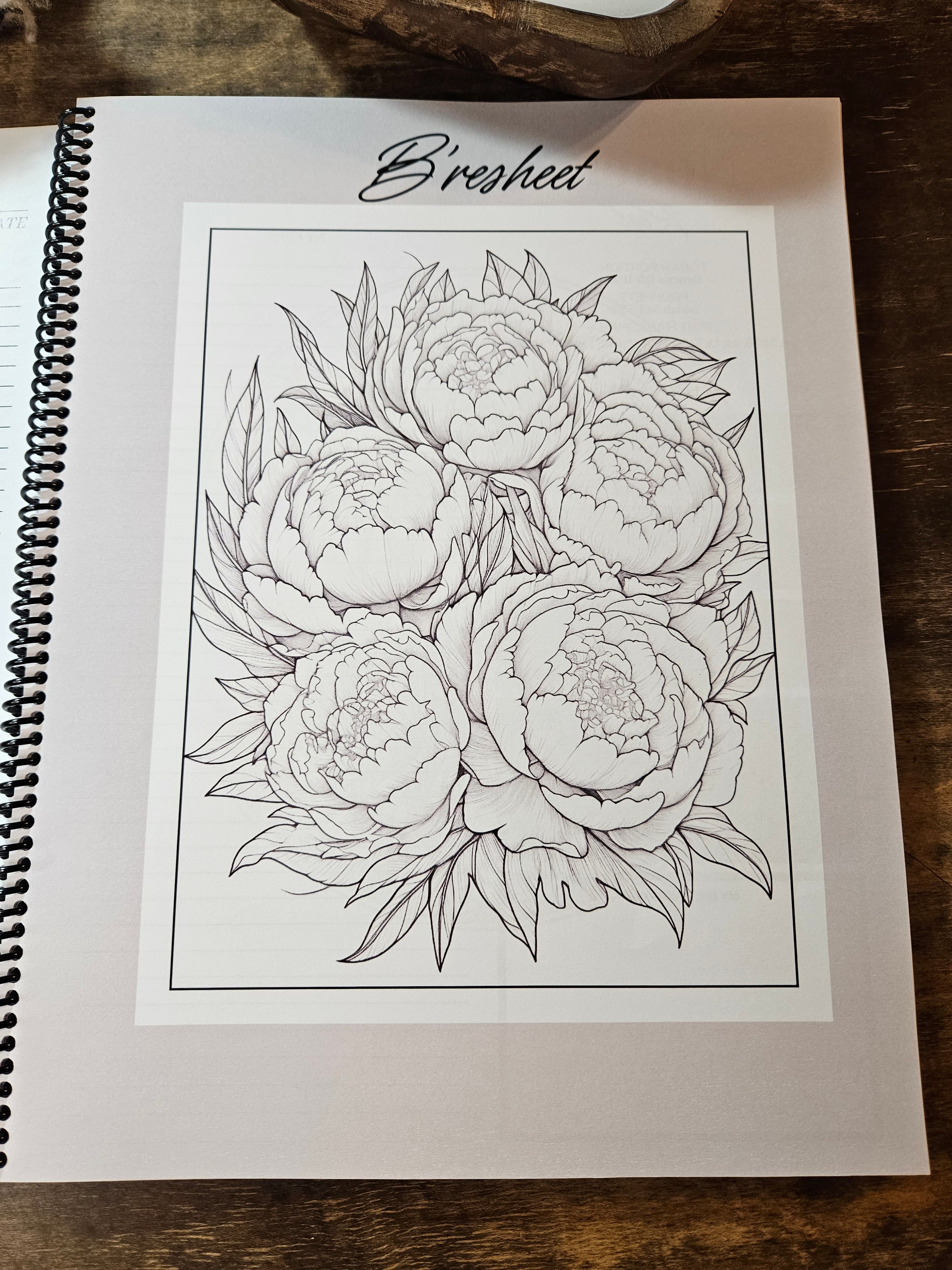 Torah Portions Notebook - Newest Edition, PDF Only – Torah Sisters