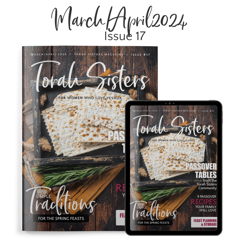 March/April 2024 Issue #17 Torah Sisters Magazine